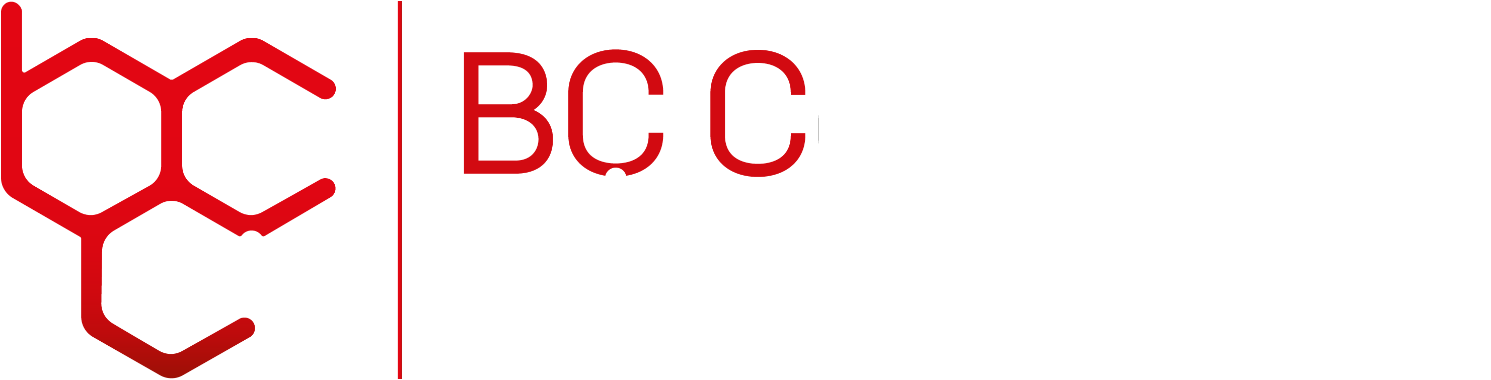 İletişim - BC Consulting